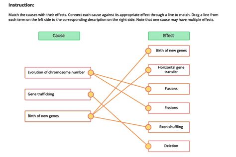 SOLVED Instruction Match The Causes With Their Effects Connect Each