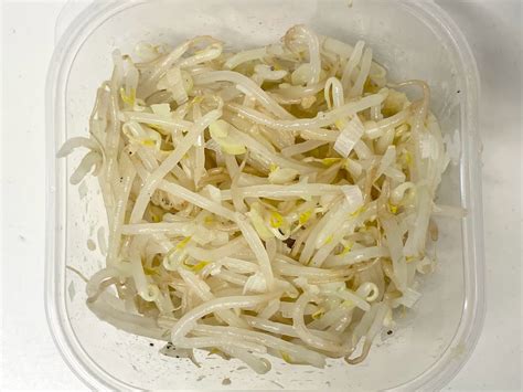 リュウジさんの「もやしだけで飯食えたらいいな」か・ら・の「無限もやし漬け」爆誕！作ってみた【節約レシピ】 『あたらしい日日』 こんな時代の