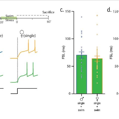 Females And Males Show Equivalent Sensitivity To An Acute Physical