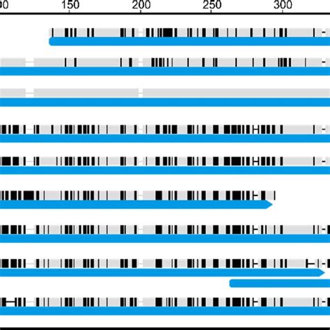 Structure Based Sequence Alignment Of Il18 Binding Proteins Structure
