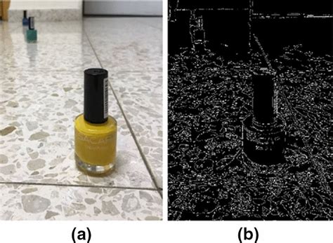 A A Space Variant Blurred Image B Detected Edges Download Scientific Diagram