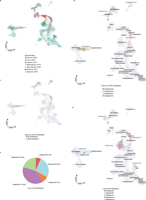 Re Analysis Of Transcriptional Profiling Data Of Blastoid Cells Related Download Scientific