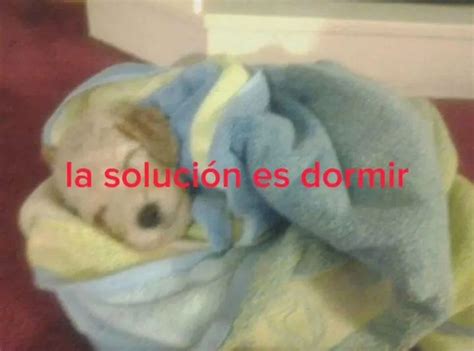 Yo Siempre