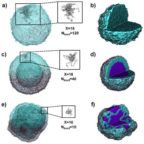 Simultaneous Nano And Micro Scale Control Of Nanofibrous Microspheres Self Assembled From Star