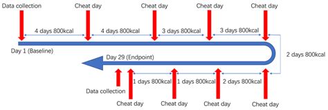 The Progress Of The Intermittent Energy Restriction Intervention