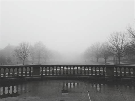 Hope Everyones Enjoying The Beautiful Weather Ruiuc