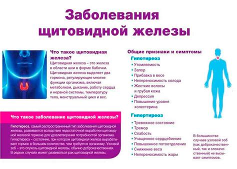Монастырский чай для щитовидной железы: состав и польза напитка