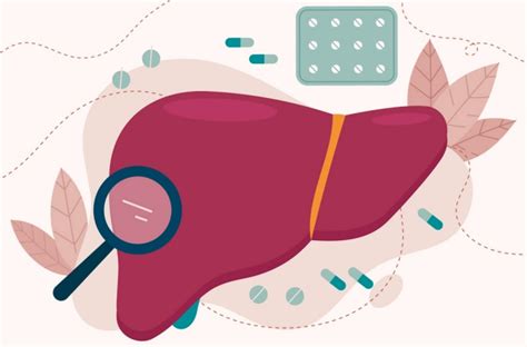 Nuevos Mecanismos En Los Efectos Antidiabéticos De La Metformina