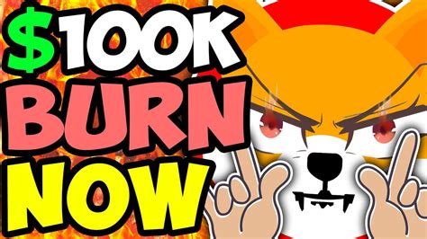 Shib Burn Skyrockets 27510 10 Billion Shib Tokens Burnt Shiba