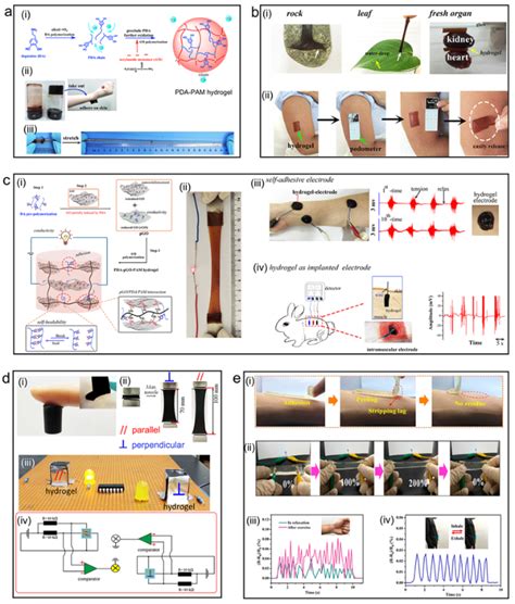 西南交通大学鲁雄教授团队afm综述：仿贻贝自粘附水凝胶生物电子 材料牛