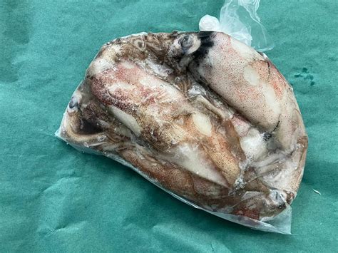 商品一覧 豊洲市場直結・全国産鮮魚のオンライン注文 トヨイチ産直センター 高品質・高鮮度な地元特産品と豊富な品揃えをお届け