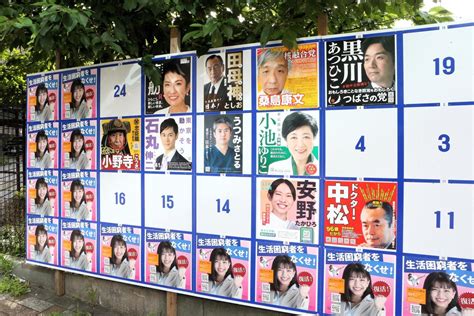 「ほぼ全裸の女性」「立候補しない格闘家」「犬」異色ポスター続々掲出 都知事選告示で話題 社会写真ニュース 日刊スポーツ