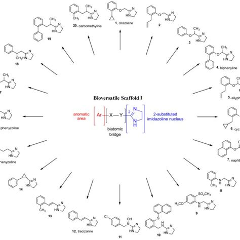 Chemical Structures Of Compounds 1 20 Sharing The Common Scaffold I