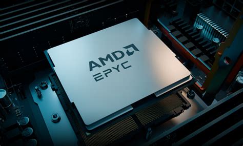 Amd Sp7 And Sp8 Platforms For Next Gen Epyc Venice And Verano Cpus