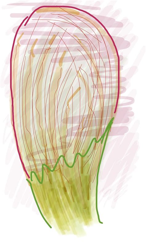 Perrin S Textures Doodles Swab Tip Texture