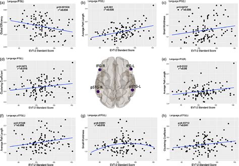 Local Network Measures As A Function Of Expressive Vocabulary Test