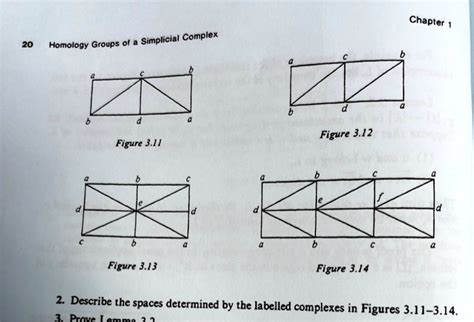 Solved Text Homology Groups Of Simplicial Complex Figure 312 Figure