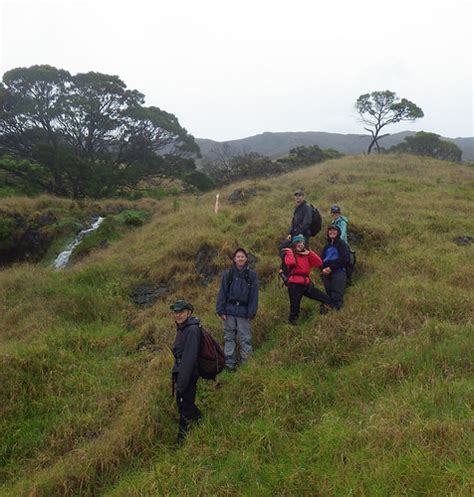 Volunteer Maui Forest Bird Recovery Project