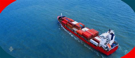 Guide To Navigating The Suez Canal Blockage A Cute Adventure Amidst