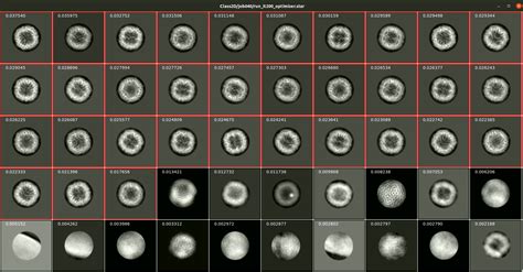 Selection Of 2d Classes Returns Much Less Particles Than Expected