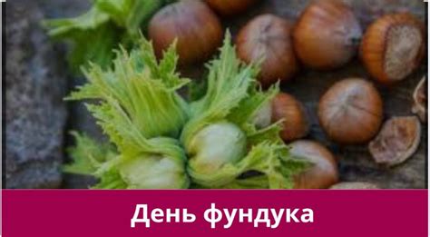 Четверте січня 2025 року яке сьогодні свято події іменини ПІК ПІК