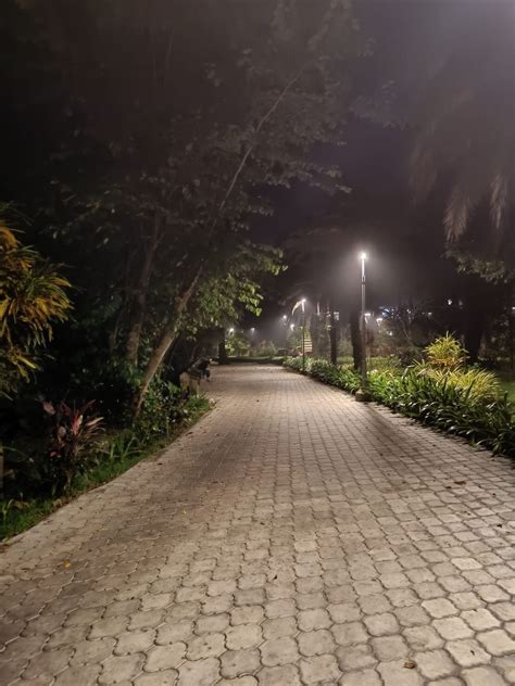 Dr Siddharth Jeetendra Jain On Linkedin Healthcare Continuouslearning Professionalgrowth