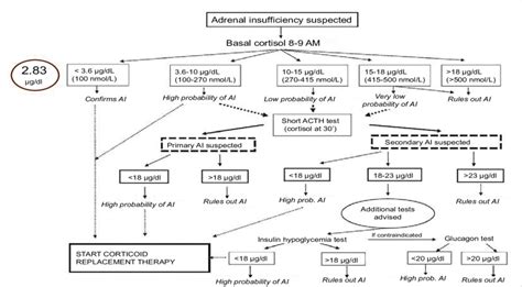 Diagnostic Algorithm Elaborated By De Miguel Novoa Et Al [10] Of