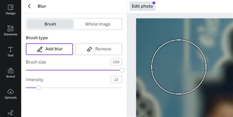 How To Blur The Background Of A Photo Boris FX
