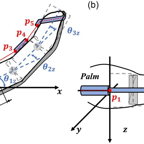 The One‐finger Kinematic Model A Front View B Top View Download
