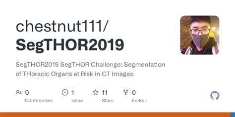 Github Chestnut Segthor Segthor Segthor Challenge Segmentation Of Thoracic Organs