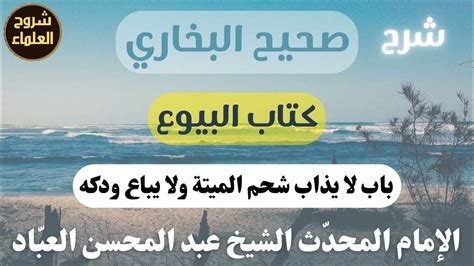 شرح صحيح البخاري باب لا يذاب شحم الميتة ولا يباع ودكه الشيخ عبدالمحسن العباد Youtube