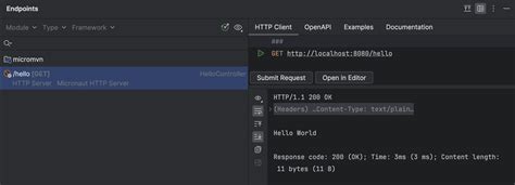 Micronaut IntelliJ IDEA Documentation