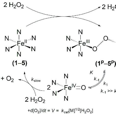 Comparison Of The 3 P 5 P Mediated Disproportionation Reaction Of