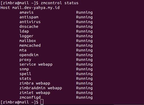 Install Zimbra Mail Server Di VPS Centos 7 CloudAja Artikel