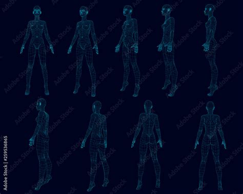 Set With A Girl Body Wireframe From Different Sides Polygonal Girl Consists Of Blue Lines On A