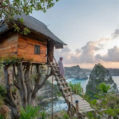 Motif Kain Tenun Sumba Apa Yang Membuatnya Spesial IndonesiaJuara