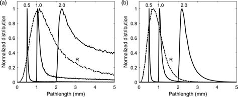 Pathlength Distributions For Reflectance R From A Semi Infinite