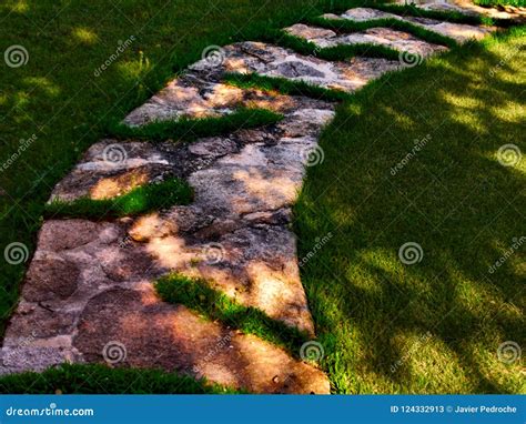 Stone Path In Green Grass Stock Image Image Of Color 124332913