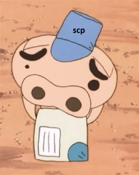 Ubuntu Rsync And Scp 제발 큰 파일은 Rsync를 이용해 보내자