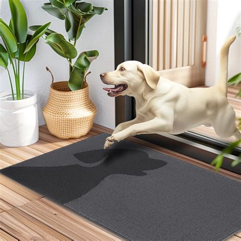 Lxlivn Door Mat Indoor Welcome Front Door Mats Non Slip Entrance Mat