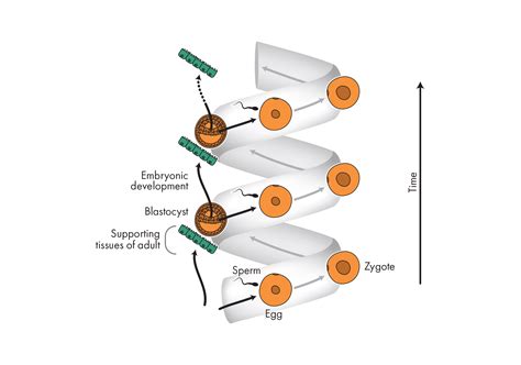 The Patchwork Human Kate Baldwin Llc