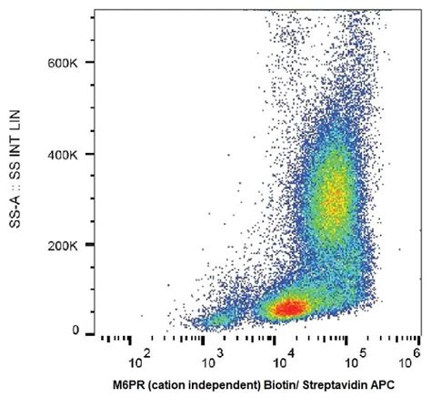 Anti M6pr Cation Independent Biotin Antibody [mem 238] Ab239242 Abcam
