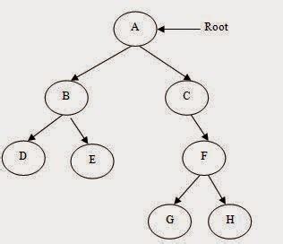 Non Linear Data Structure Trees The Daily Programmer