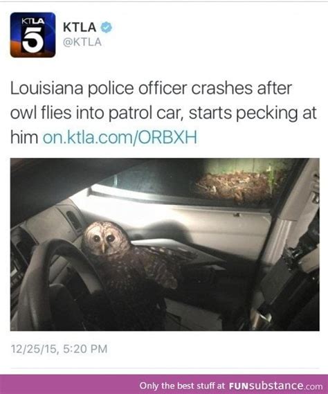 Spooky Bird Funsubstance