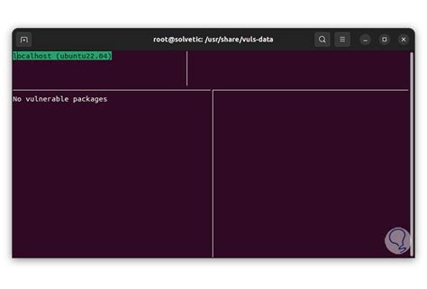 Análisis De Vulnerabilidades Linux ️ Vuls Solvetic