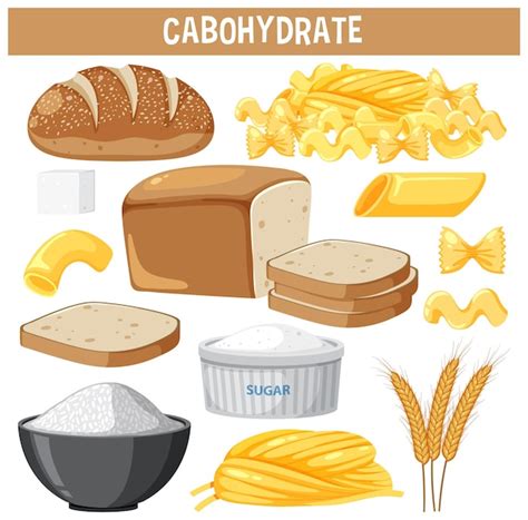 Premium Vector Variety Of Carbohydrates Foods