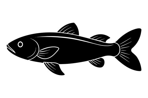 Coelacanth Outline Vector Graphic By Skshagor Barmon · Creative Fabrica