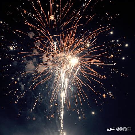 热知识（12）：1929 2023年历届奥斯卡金像奖电影，超全！ 知乎