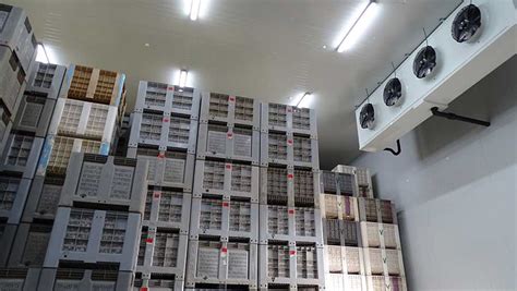 Los Beneficios De La Conservación De Alimentos Ferroice Cámaras De Conservación