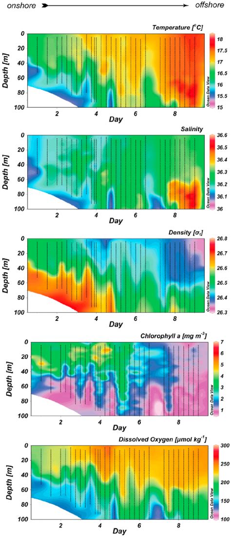 Depth Profiles Of Temperature Salinity Density Chlorophyll A And
